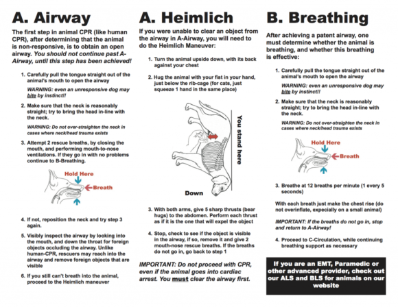 How to do CPR on your Dog – Maryville/Alcoa Animal Rescue Center ...