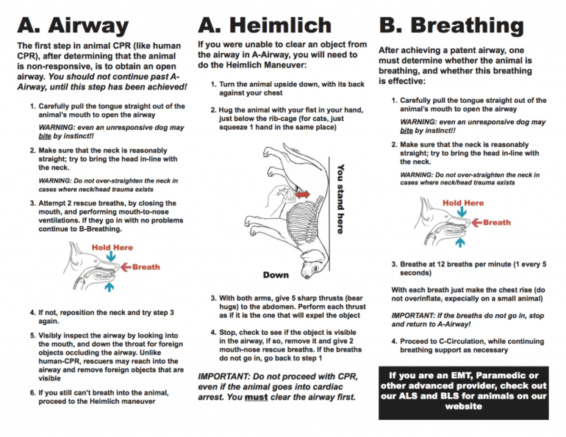 How to do CPR on your Dog – Maryville/Alcoa Animal Rescue Center ...