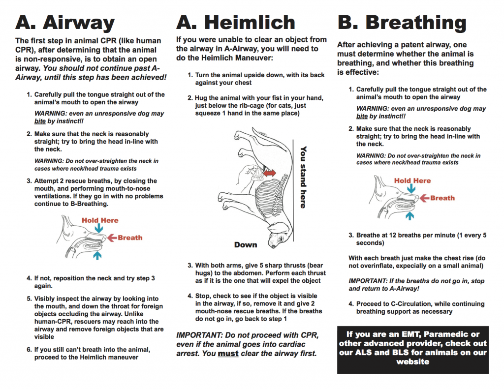 How to do CPR on your Dog – Maryville/Alcoa Animal Rescue Center ...