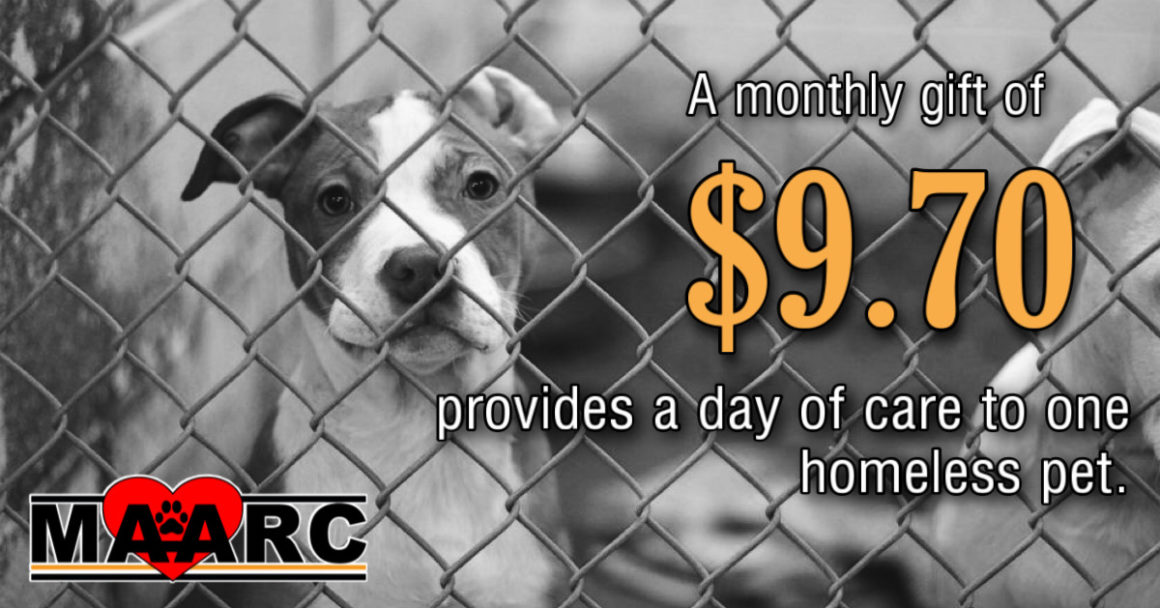 Adoptables ~ Maryville/Alcoa Animal Rescue Center ~ Animal Rescue ...