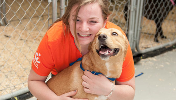 12 Ways to Save Dogs and Cats in Shelters – Maryville/Alcoa Animal ...